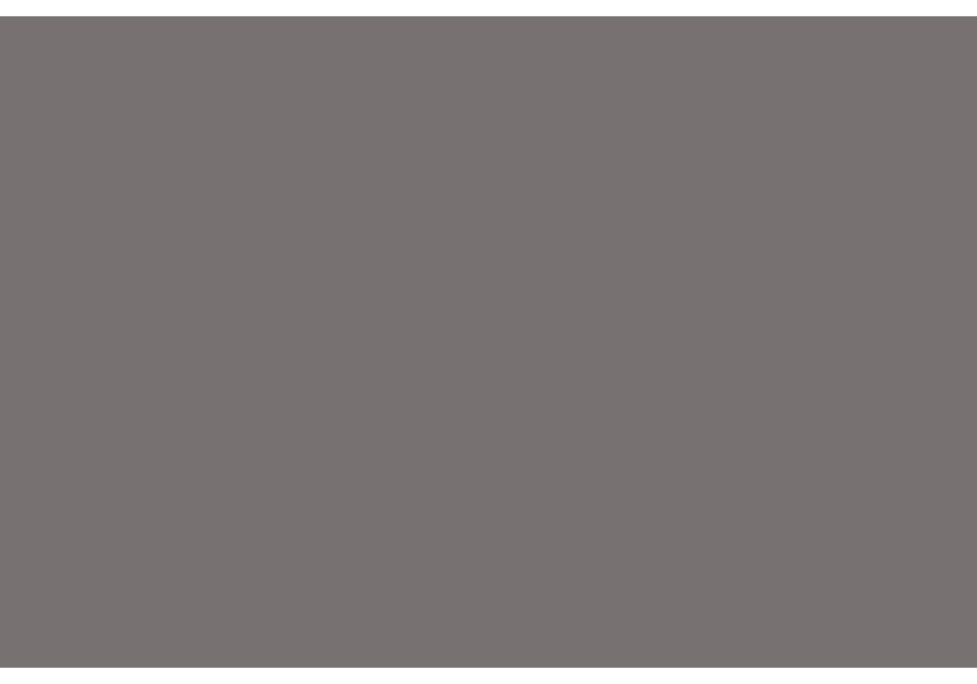 Smoke Grey Paint Color